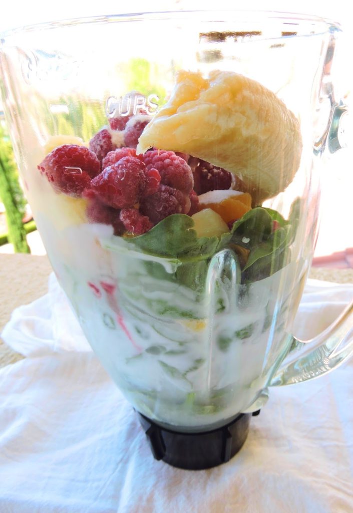 Green Protein Smoothie Cubes – Just Jessie B