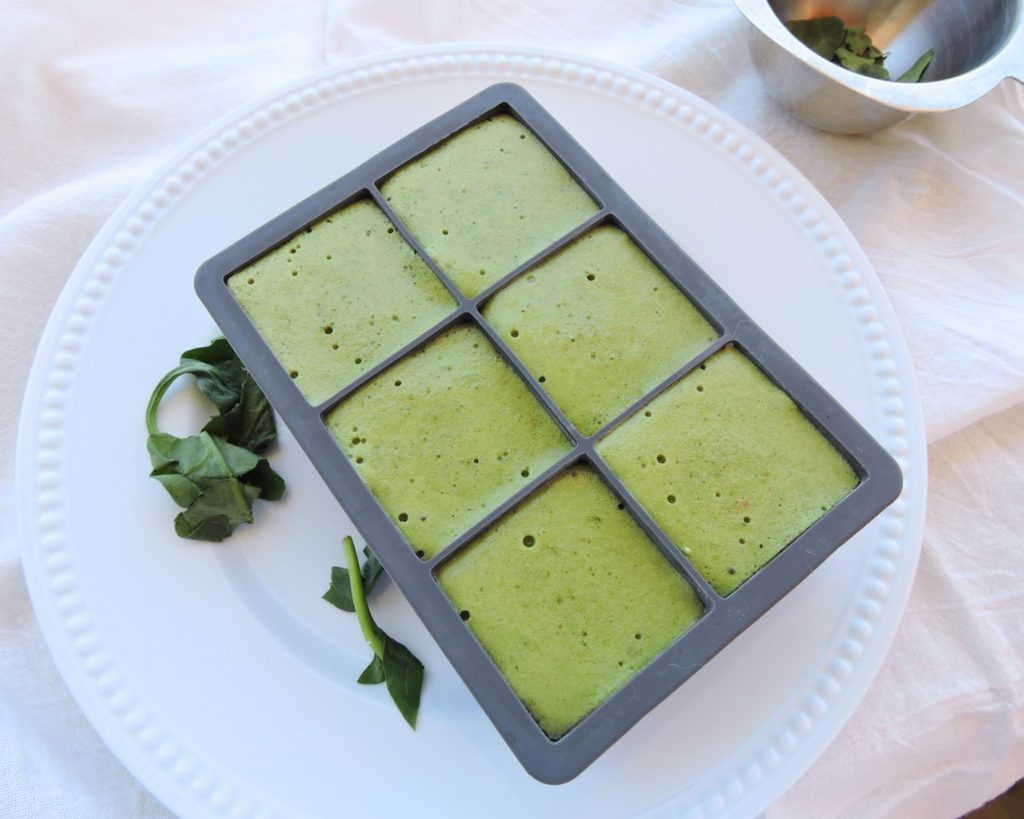 Green Protein Smoothie Cubes – Just Jessie B